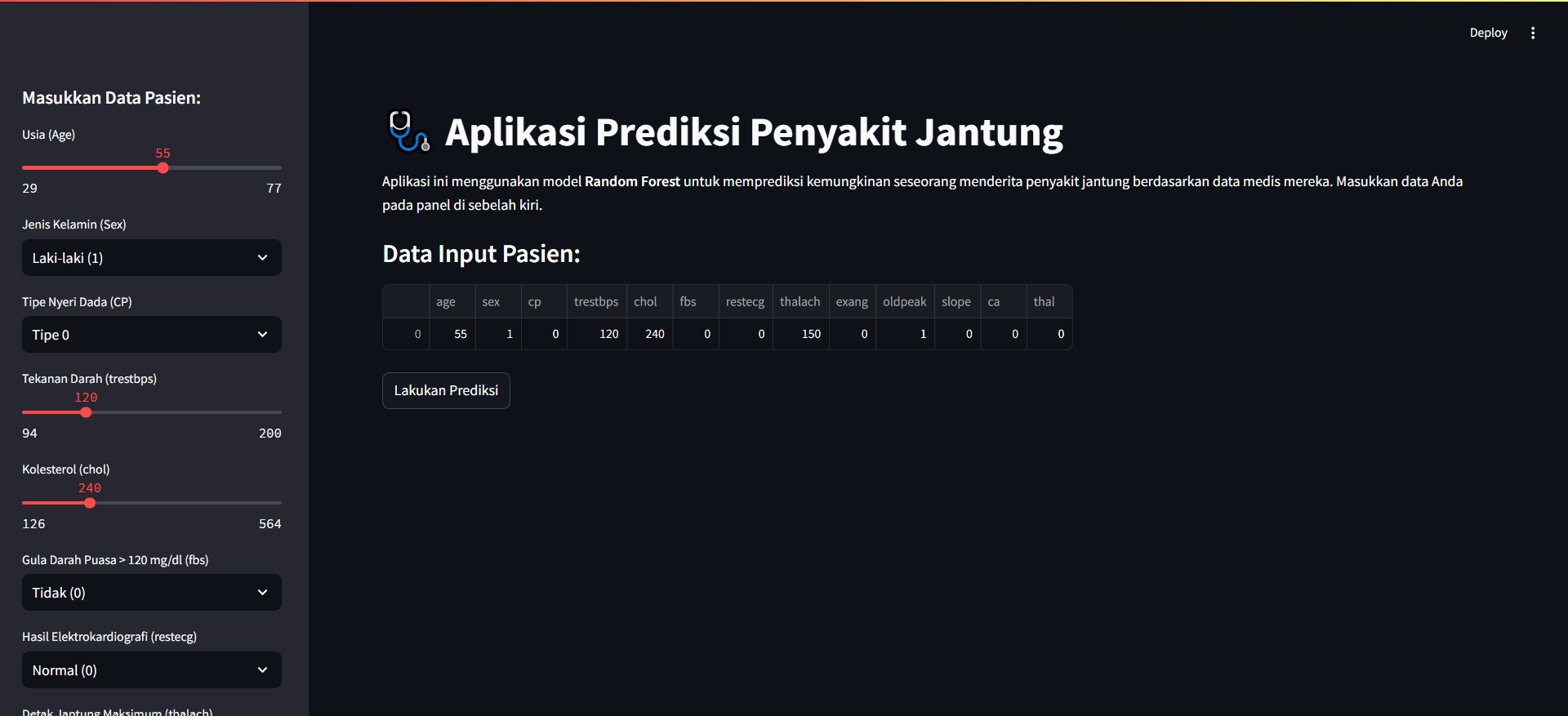 M Rafly Aulia Akbar | Portfolio